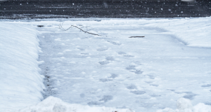 How to Remove Ice and Snow from a Paver Driveway Without SaltPavestone ...